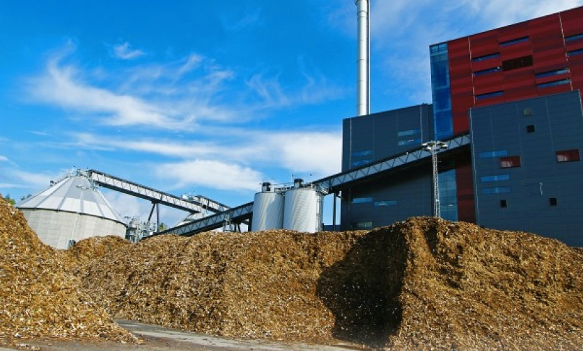 Turning Cocoa Waste into Power: The Divo Biomass Breakthrough in Côte d ...